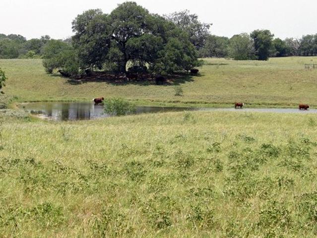 319 R C Ln, Lockhart, TX 78644