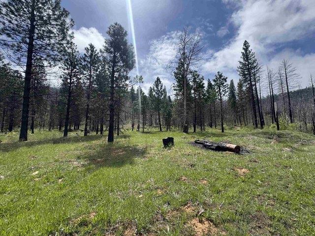 319 Round Valley Rd, Greenville, CA 95947