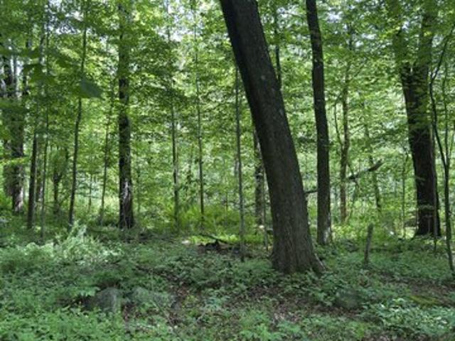 319 White Oak Trl, Winchester, CT 06098