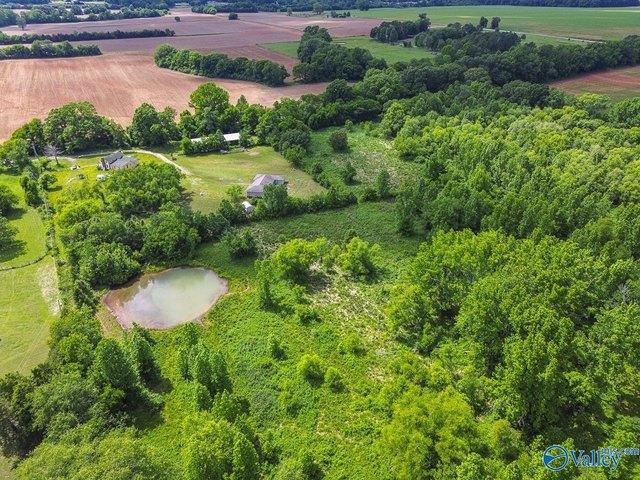 319B Coulter Dr, New Market, AL 35761