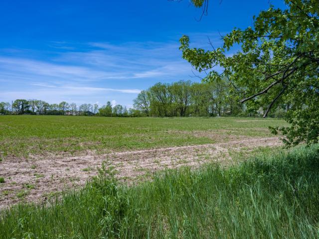 31.94 Acres Taylor Road