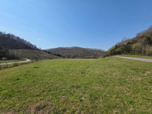 31.14 ac Dry Mill Creek Road
