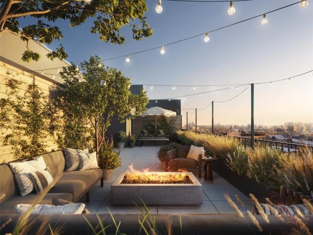 31 23/25 Linden