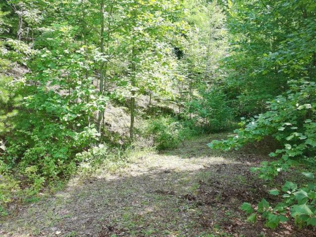 31 & 32 Wolfpen Gap Road