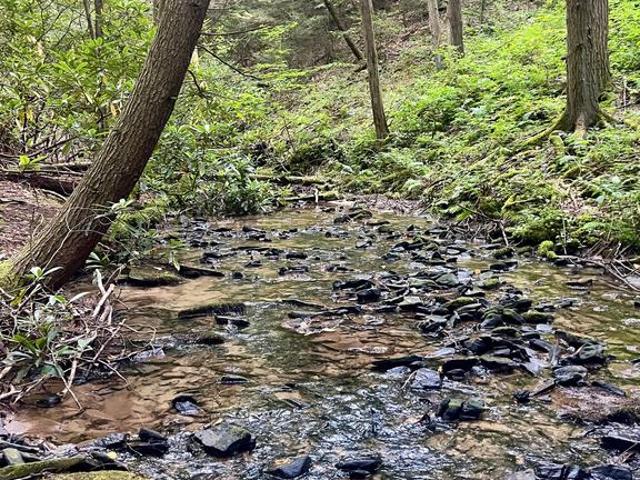 31 36 Beech Creek Mountain Road