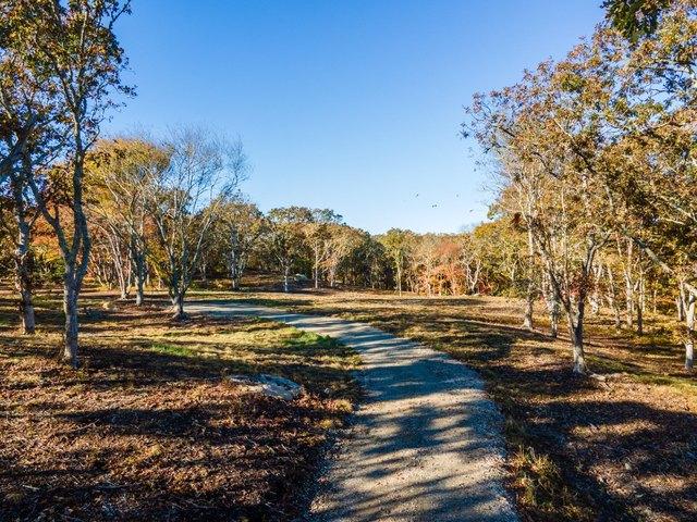31 Tower Ln, Chilmark, MA 02535