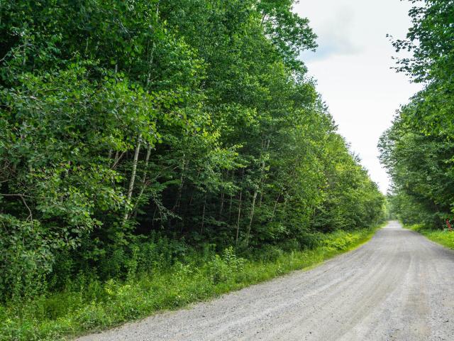 31 Woodsman Rd, West Dover, VT 05356 | MLS #5073 | Compass