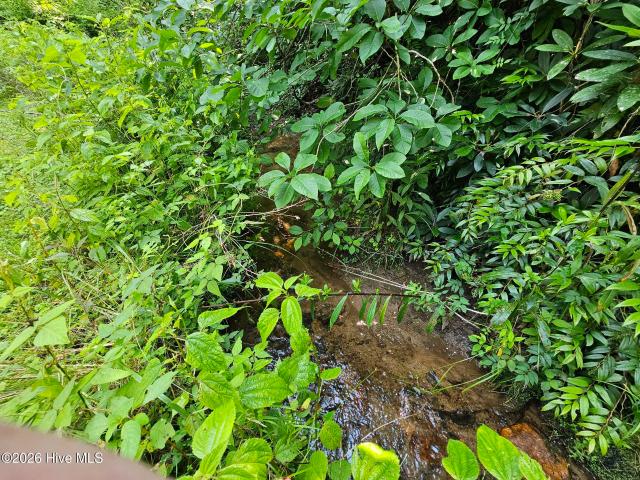 31 Acres Upper Bear Paw Road