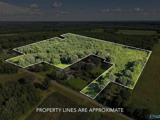 31 Acres Cottontown Ln, Leighton, AL 35646