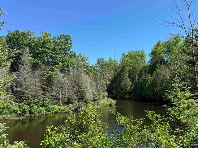 31 Acres off Bobs Creek Truck Trail
