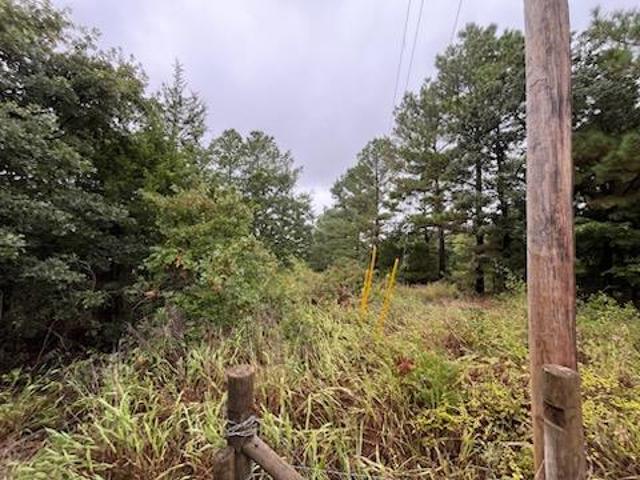 31 Amber Ridge