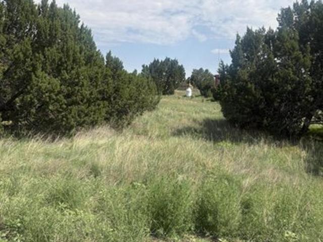 31 Commercial Dr, Concho, AZ 85924