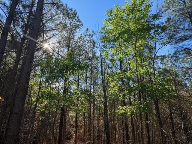 31 Dawnview Way Trail