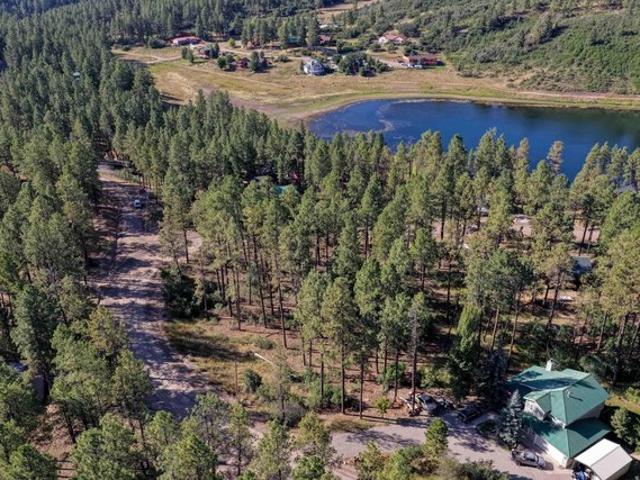 31 E Forest Lakes Dr, Bayfield, CO 81122