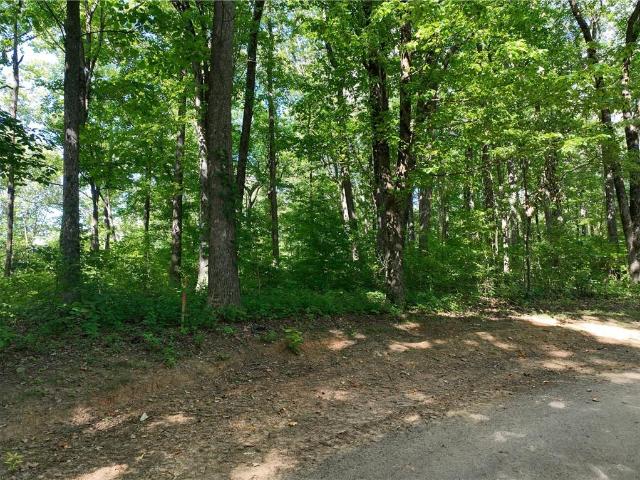 31 Highline Dr, Ellijay, GA 30536 | MLS #7623