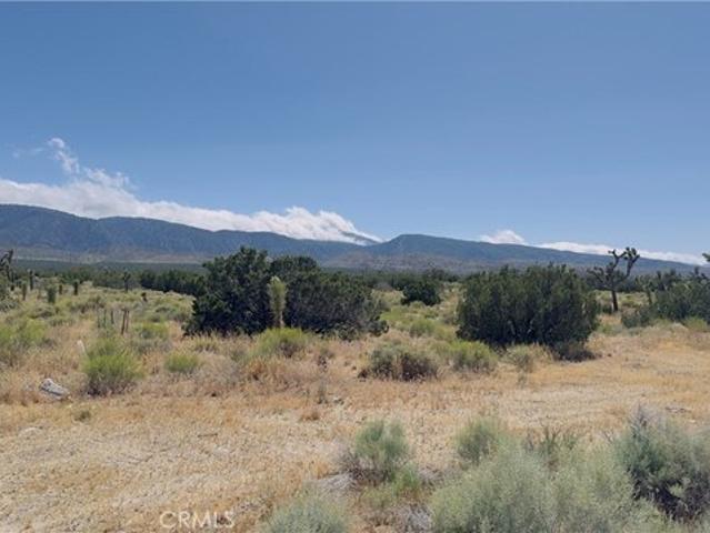 31 Highway 138, Llano, CA 93544