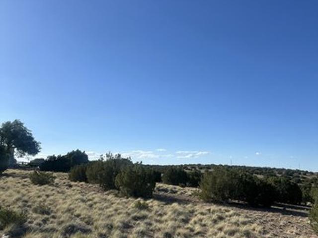 31 Mesquite Dr, Concho, AZ 85924