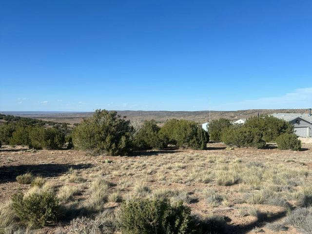 31 Mesquite Drive