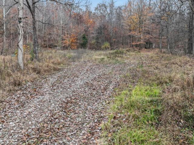 31 Poplar Ridge