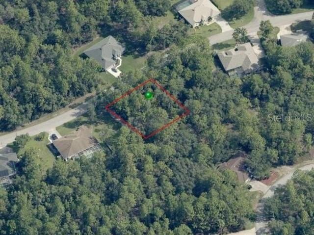 31 Saintpaulia St, Homosassa, FL 34446