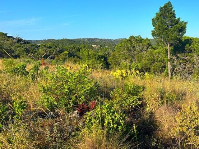 31 Sky View Ln, Camp Wood, TX 78834
