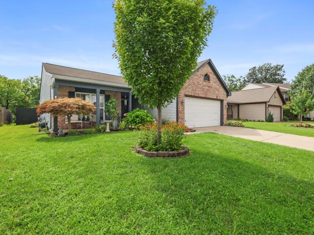 3207 Knobstone Lane