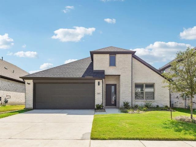 3207 Linden Lane