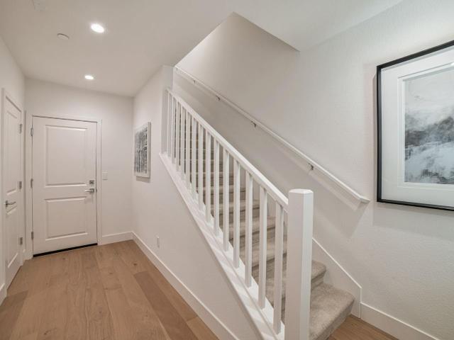 3209 Ivory Terrace