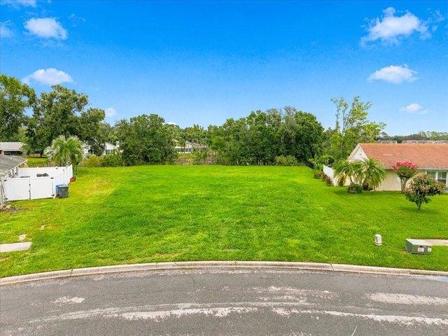 3209 Pleasant Lake Dr, Tampa, FL 33618