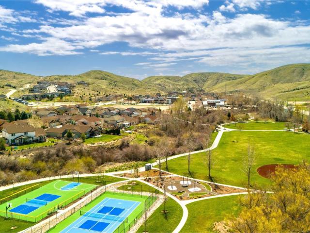 32006 N Swire Green