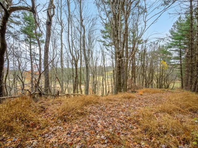 3200 Stonewall Rd NE, Pilot, VA 24138