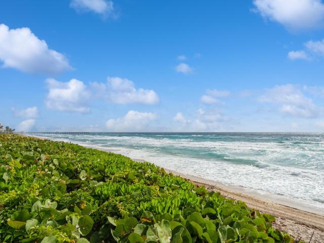 3200 S Ocean Blvd, Unit B104, Palm Beach, FL 33480 | MLS #B26001