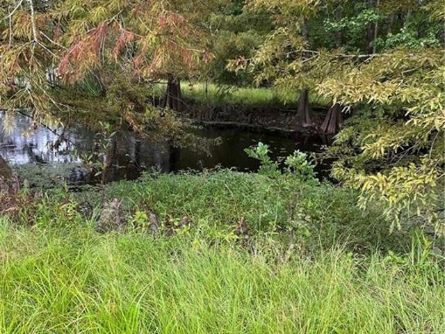 3201 Anthony Ferry Rd, Sulphur, LA 70663 | MLS #SWL24005