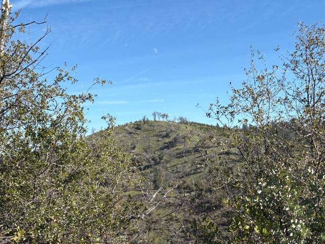 3201 Toyonberry Ln, El Dorado, CA 95623 | MLS #226077
