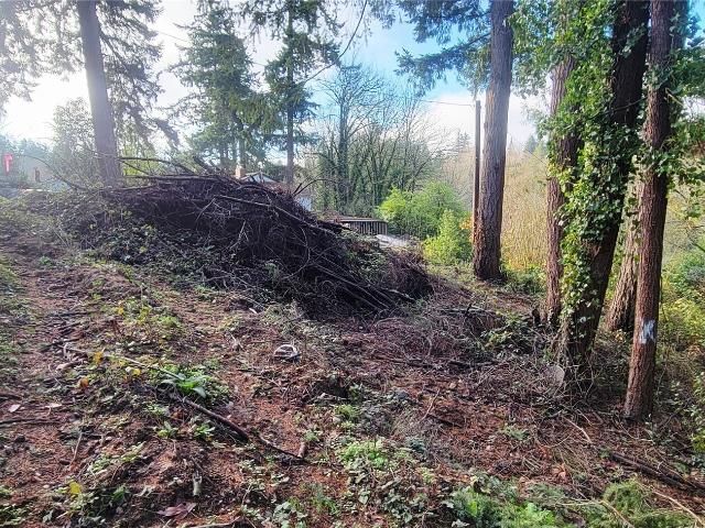 3202 17th St, Bremerton, WA 98312 | MLS #2461 | Compass
