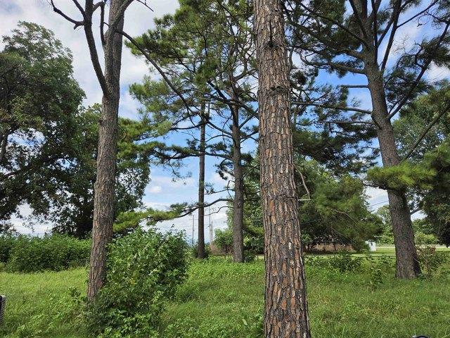 3203 Opal St, Campbell Station, AR 72473