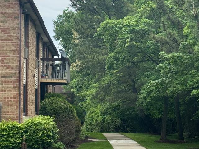 320 Cricket Lane