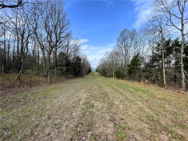 320 Acres CR 921