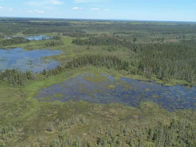 320 Acres Aho Rd, Rudyard, MI 49780