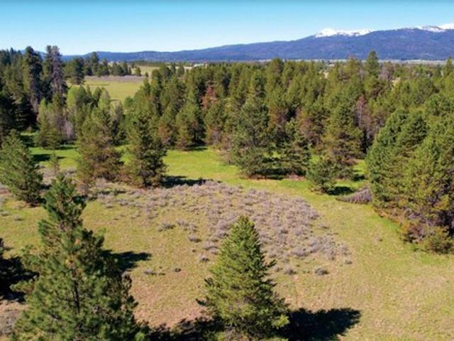 320 Acres Big Creek Mdws, Cascade, ID 83611