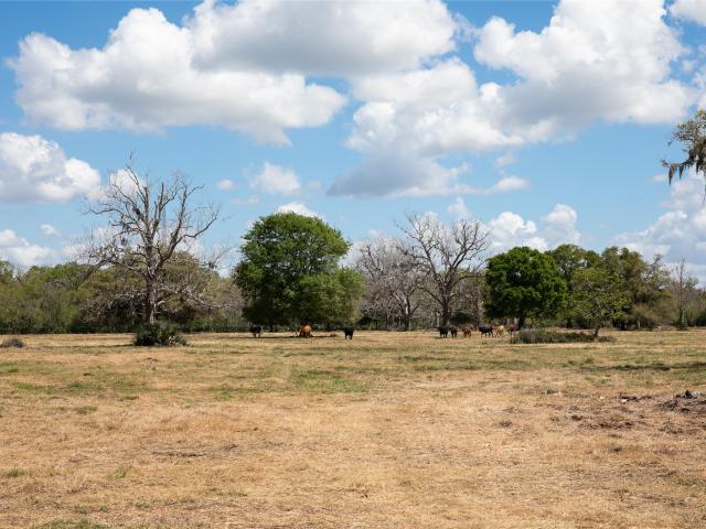 320 Brazoria, TX 77422 | MLS #74138 | Compass