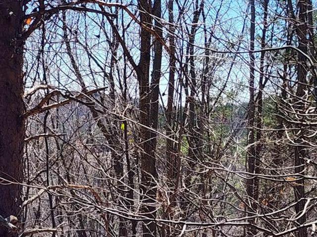 320 Foggy Cut Ln, Landrum, SC 29356