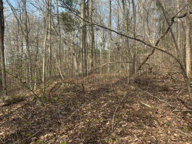 320 Frost Bottom Rd