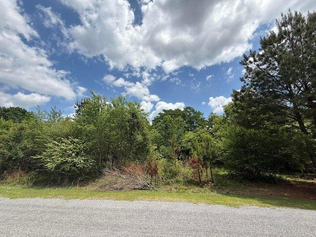 320 Harpers Ln, Ashville, AL 35953