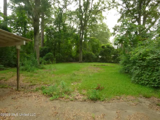 320 N Locust Street
