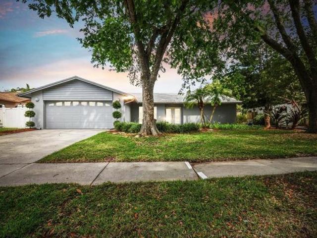 3215 Taragrove Dr, Tampa, FL 33618