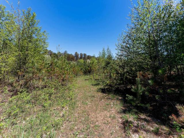 3219 Nugent Road