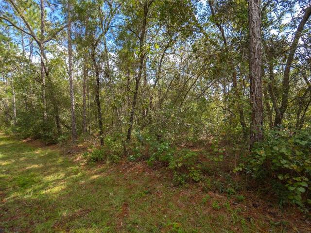 3210 E Michael St, Inverness, FL 34453 | MLS #W7883