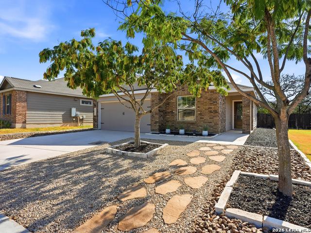32116 Macey Oak