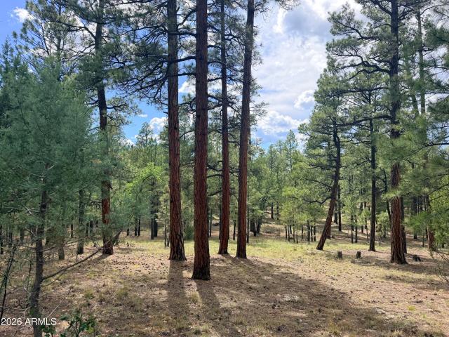 3212 APACHE Drive # 589